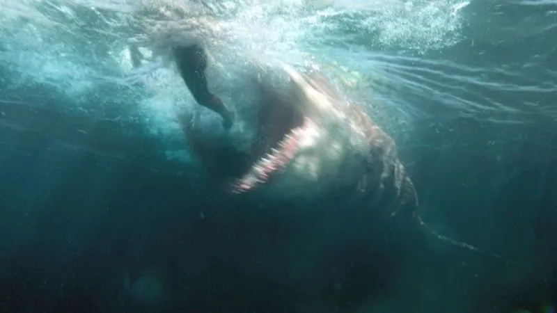 Over 30 New The Meg Photos Show Their Teeth
