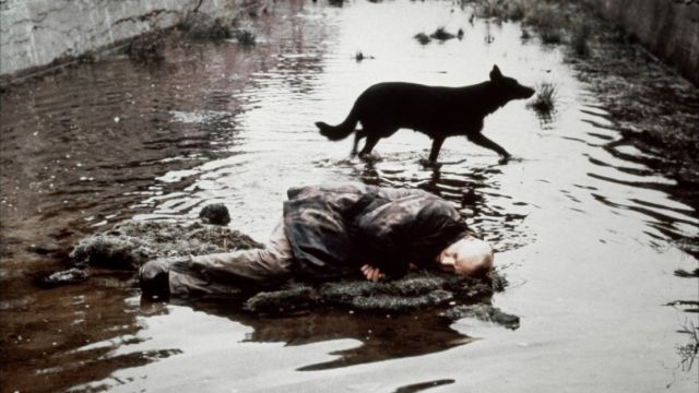 The 5 Best Movies Set In Fictional Places