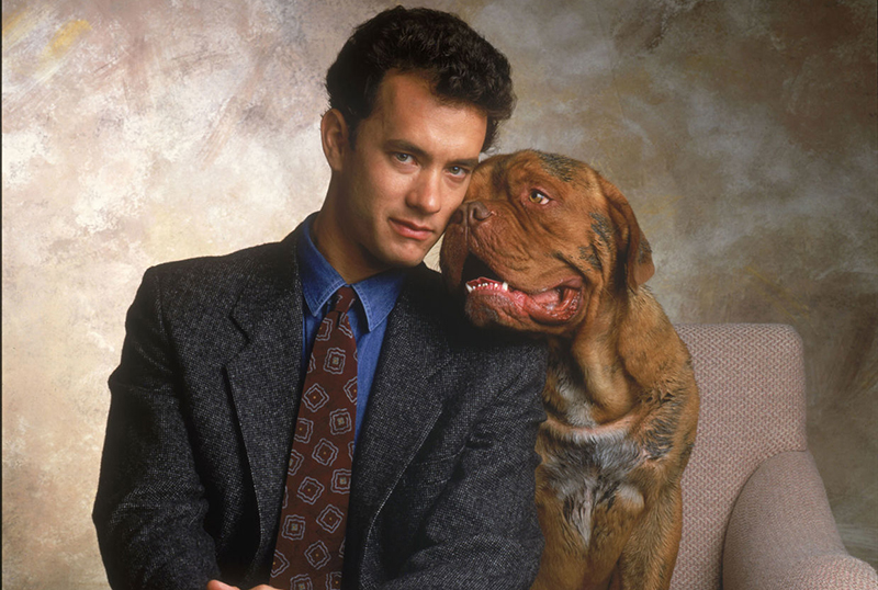 Disney+ Developing Turner & Hooch TV Series