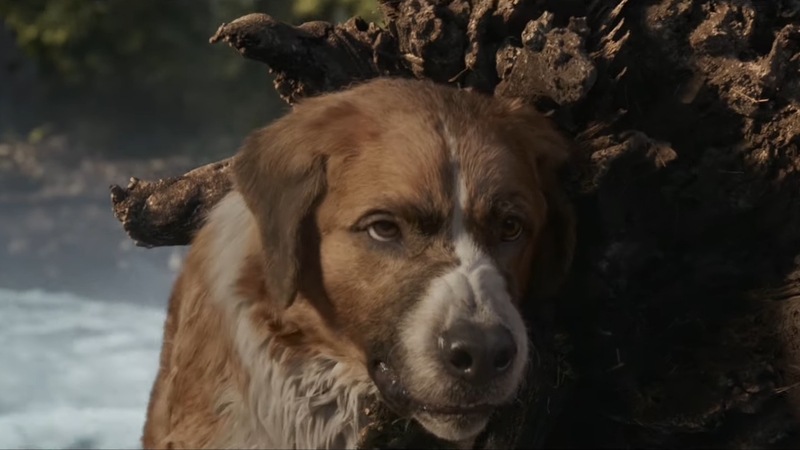 Witness an Epic Journey in The Call of the Wild TV Spot