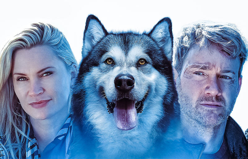 Exclusive Hero Dog Trailer Starring Natasha Henstridge