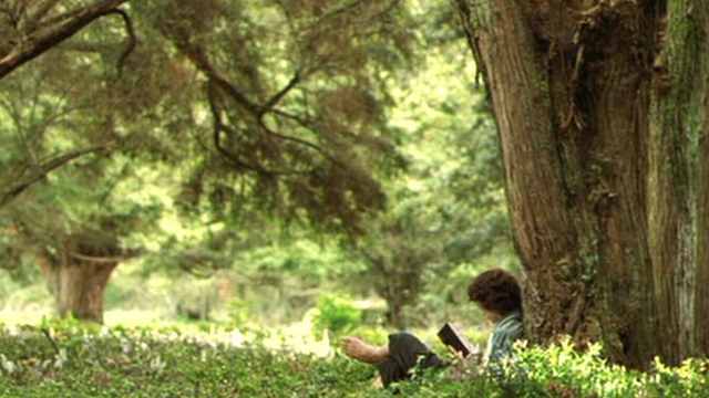 How The Fellowship of the Ring Set Up a Massive Blockbuster Franchise