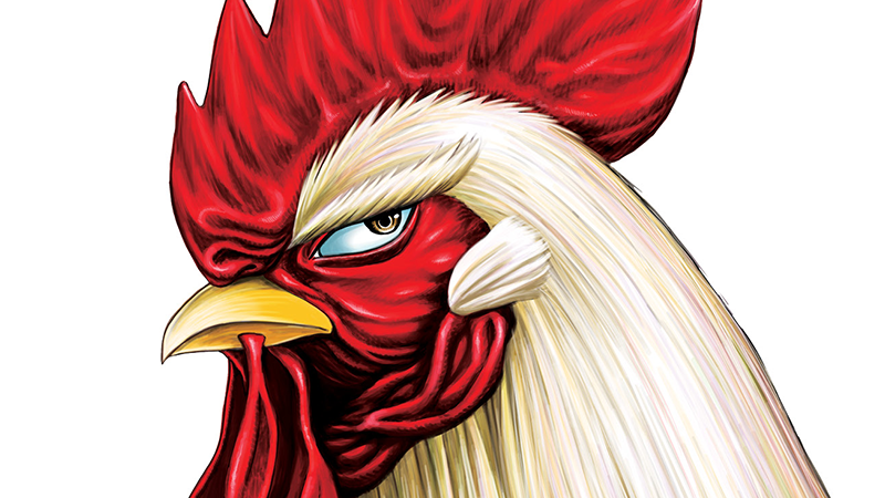 Rooster Fighter Interview: Shū Sakuratani on Creating the Wild Manga