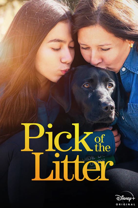 How to Watch Pick of the Litter on Disney+