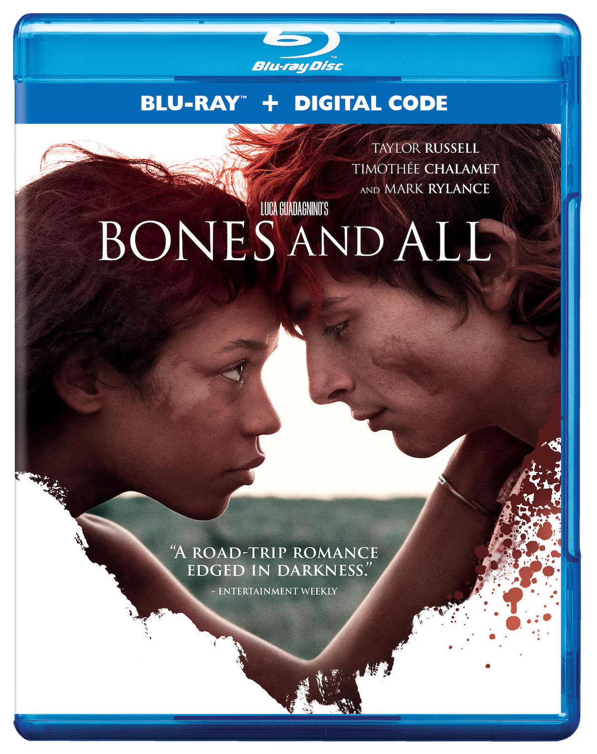 Bones and All Blu-ray Release Date and Details