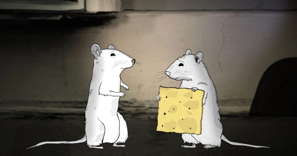 How to Watch Animals Season 3 on HBO Max