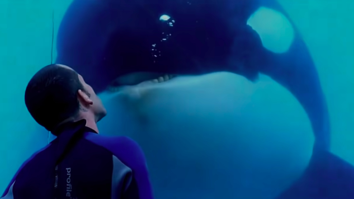 Seaworld Blackfish