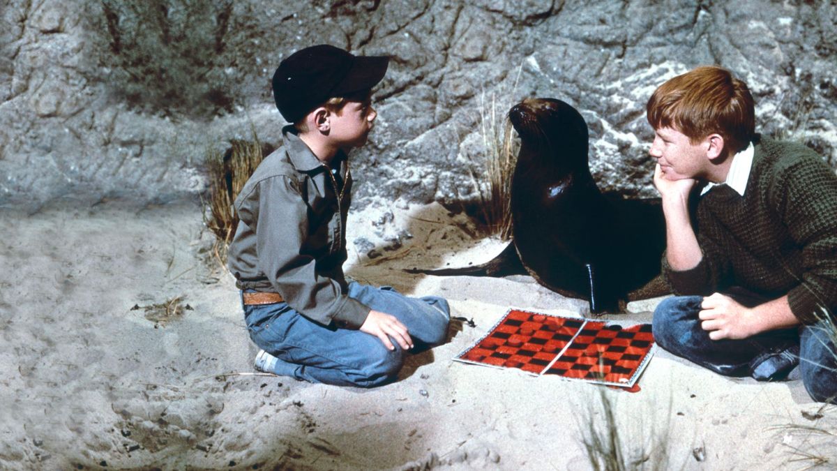 Sammy: The Way-Out Seal: Where to Watch & Stream Online