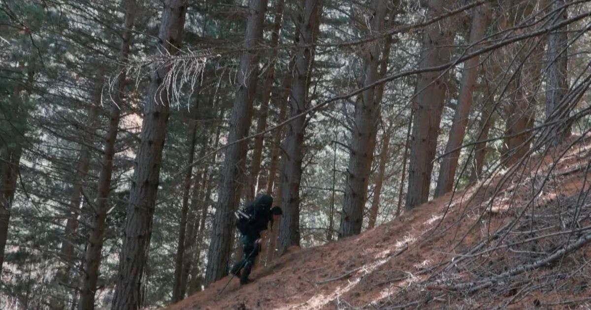 Tracked Season 1: Where to Watch & Stream Online