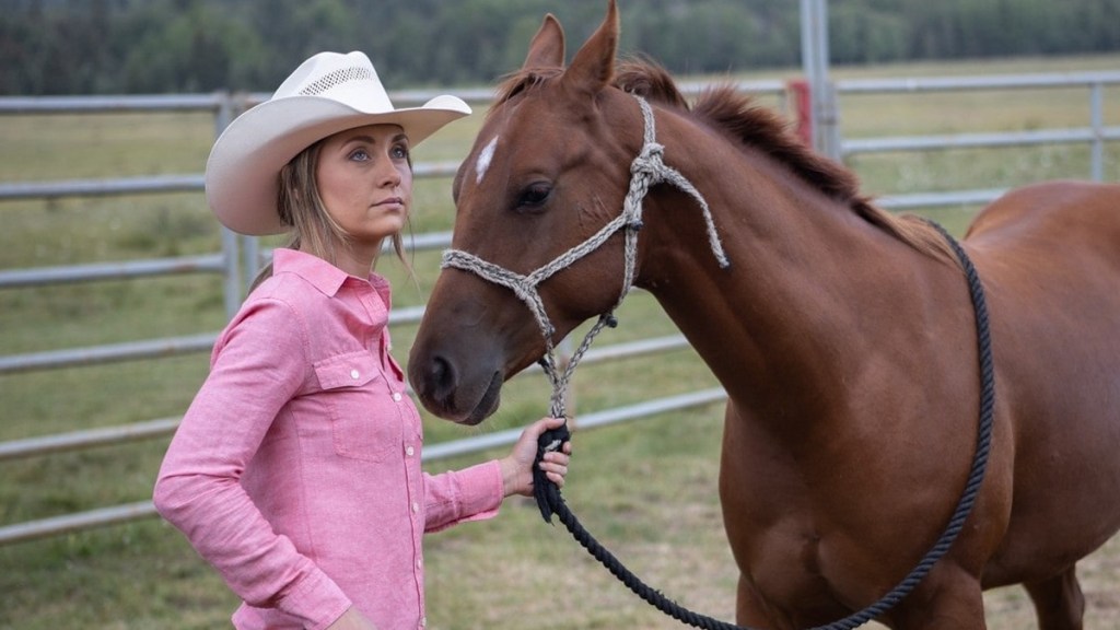 Heartland Season 13 Streaming: Watch & Stream Online via Netflix, Hulu ...