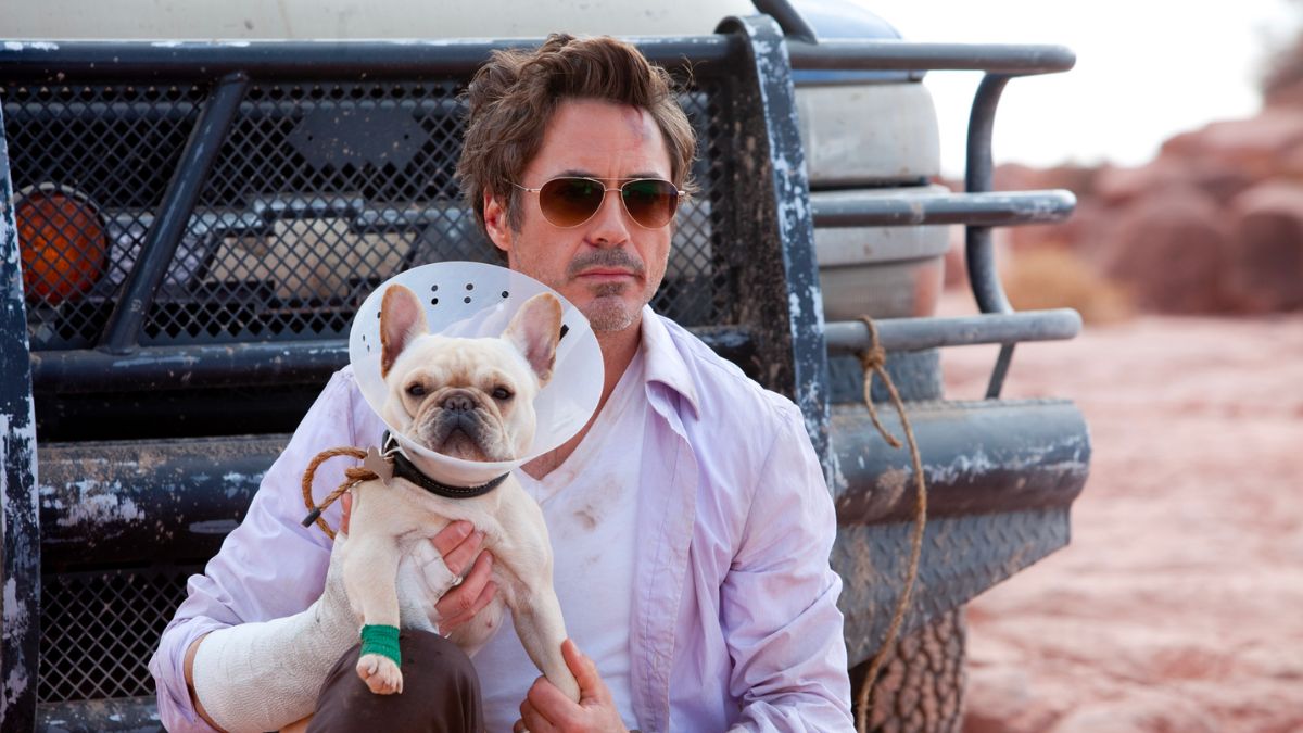 Is Robert Downey Jr. on Social Media? Instagram, X (Twitter), Facebook ...
