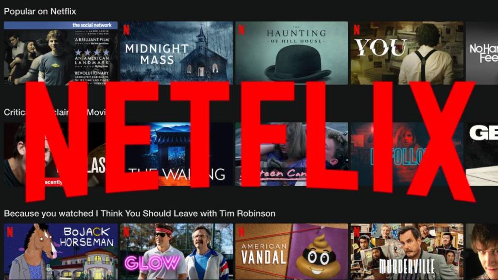 Netflix Films Boss Plans to Make Less Movies Annually, Discusses Strike ...