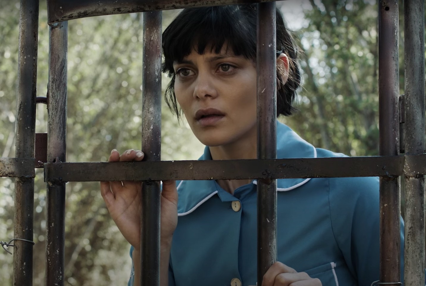 South African Gothic Horror Peacock Makes SVOD Premiere Next Month