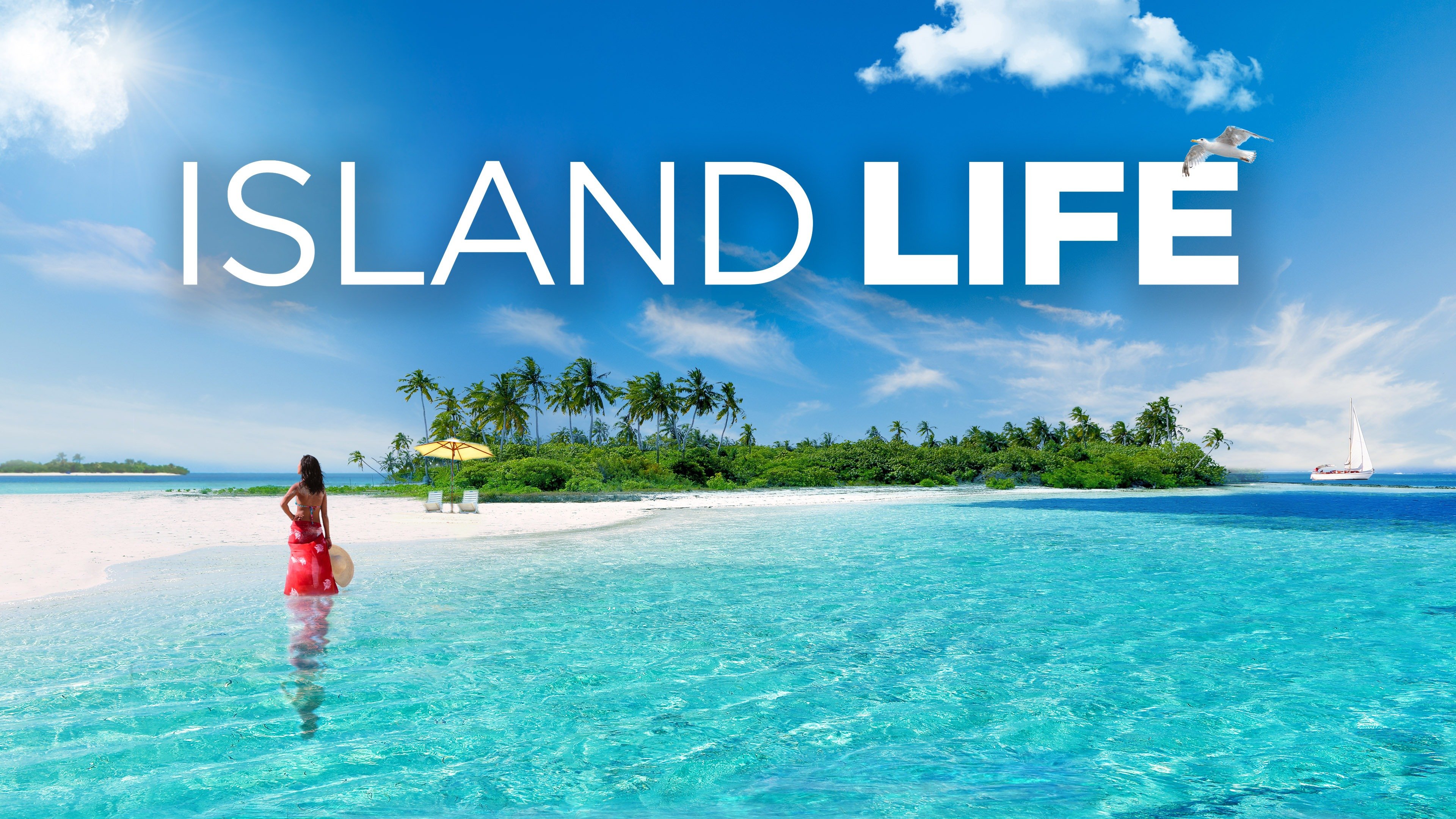 Island Life Season 3 Streaming: Watch & Stream Online via HBO Max