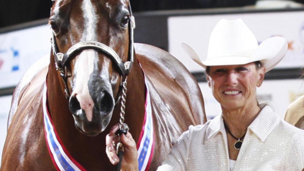 All the Queen's Horses Streaming: Watch & Stream Online via Amazon ...