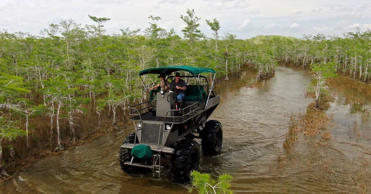Swamp People: Serpent Invasion Season 3 Streaming: Watch & Stream ...