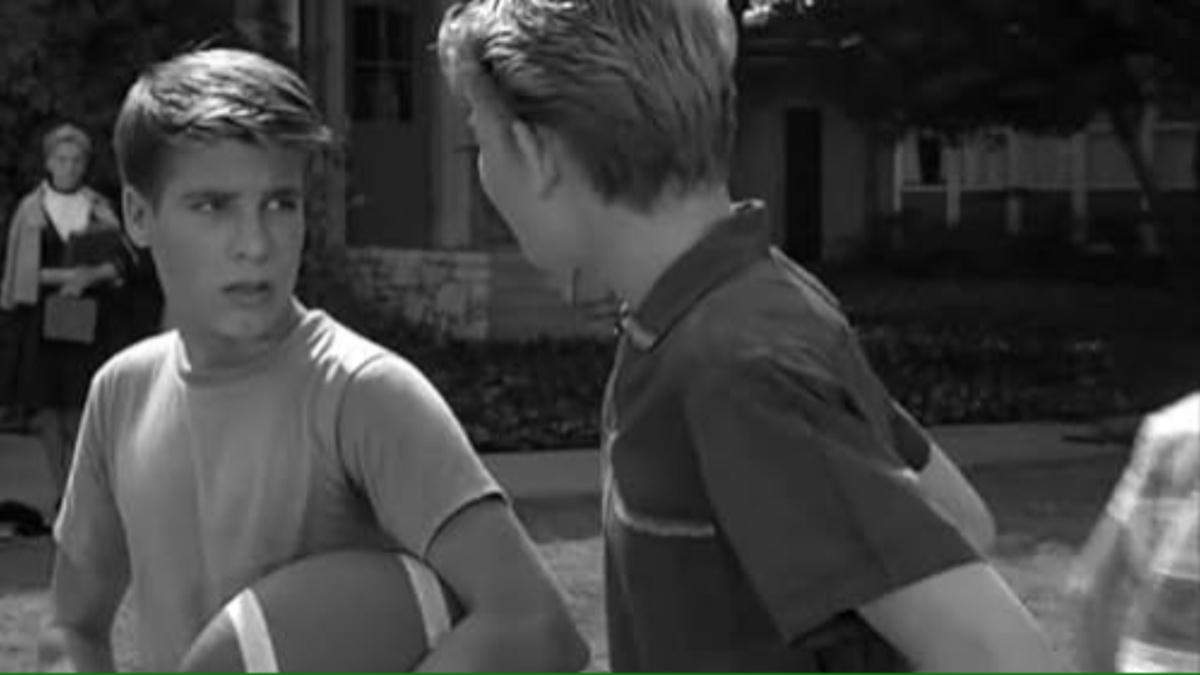 My Three Sons (1960) Season 10 Streaming: Watch & Stream Online via ...