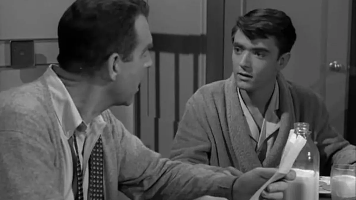 My Three Sons (1960) Season 9 Streaming: Watch & Stream Online via ...