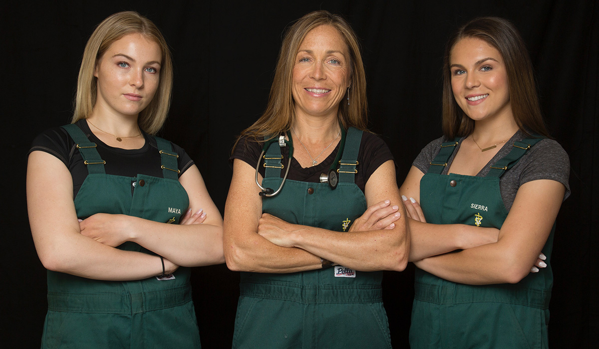 Dr. Oakley, Yukon Vet Season 3 Streaming: Watch & Stream Online via ...