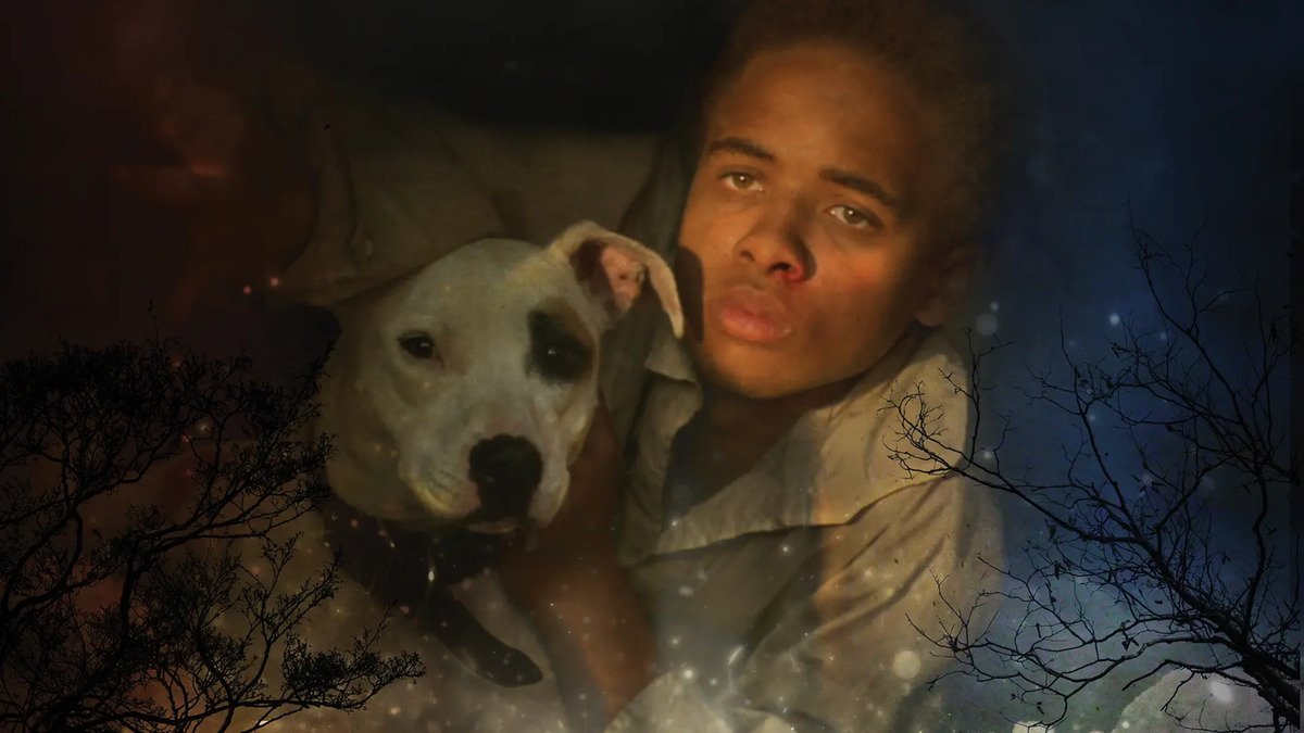 Dog Jack (2011) Streaming: Watch & Stream Online via Amazon Prime Video