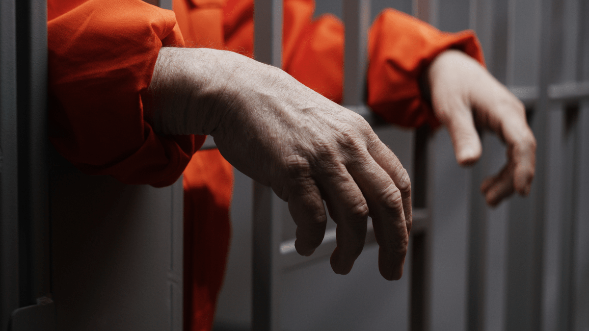 Was Steven Avery Convicted of Teresa Halbach's Murder & Where Is He Now?