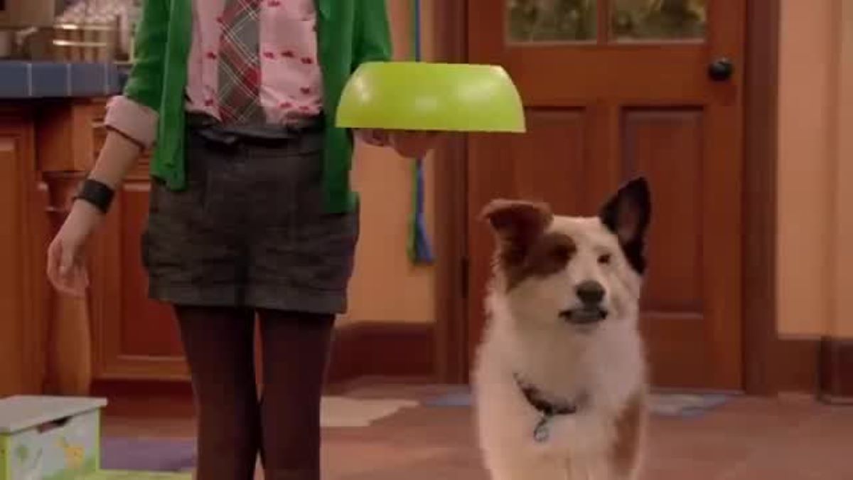Dog With A Blog (2012) Season 1 Streaming: Watch & Stream Online via ...