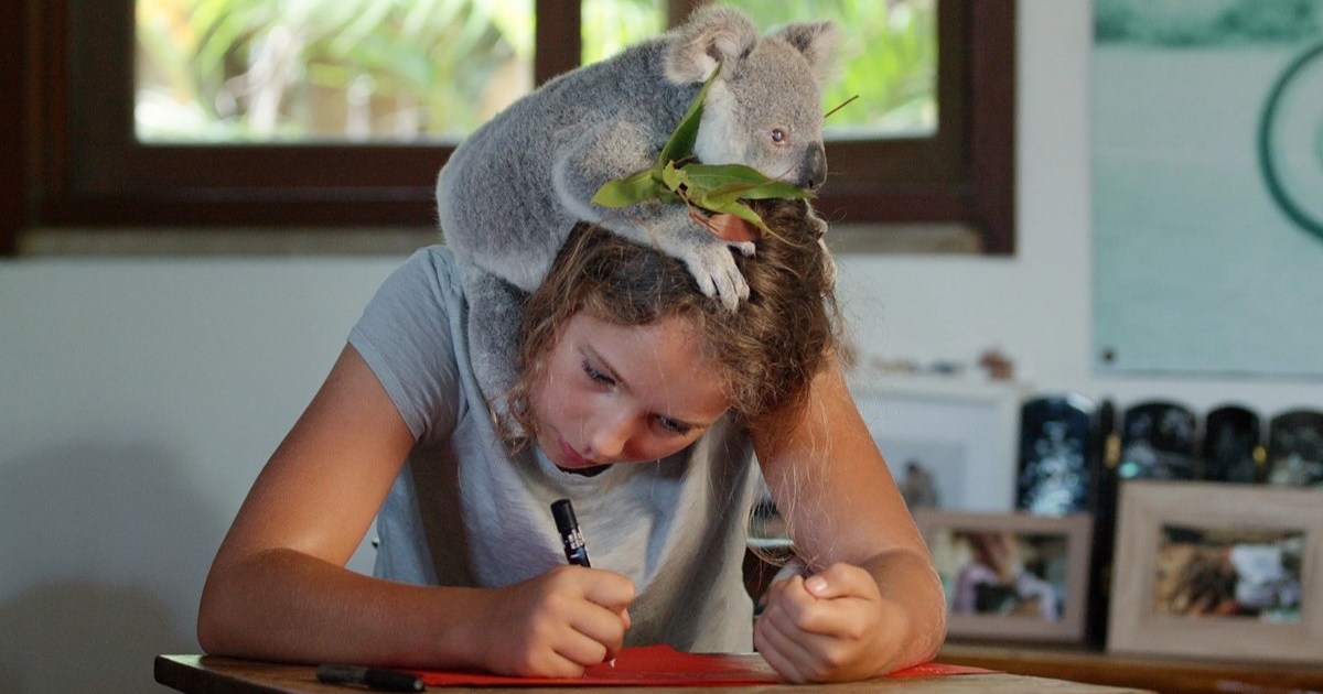 Izzy's Koala World Season 2 Streaming: Watch & Stream Online via Netflix