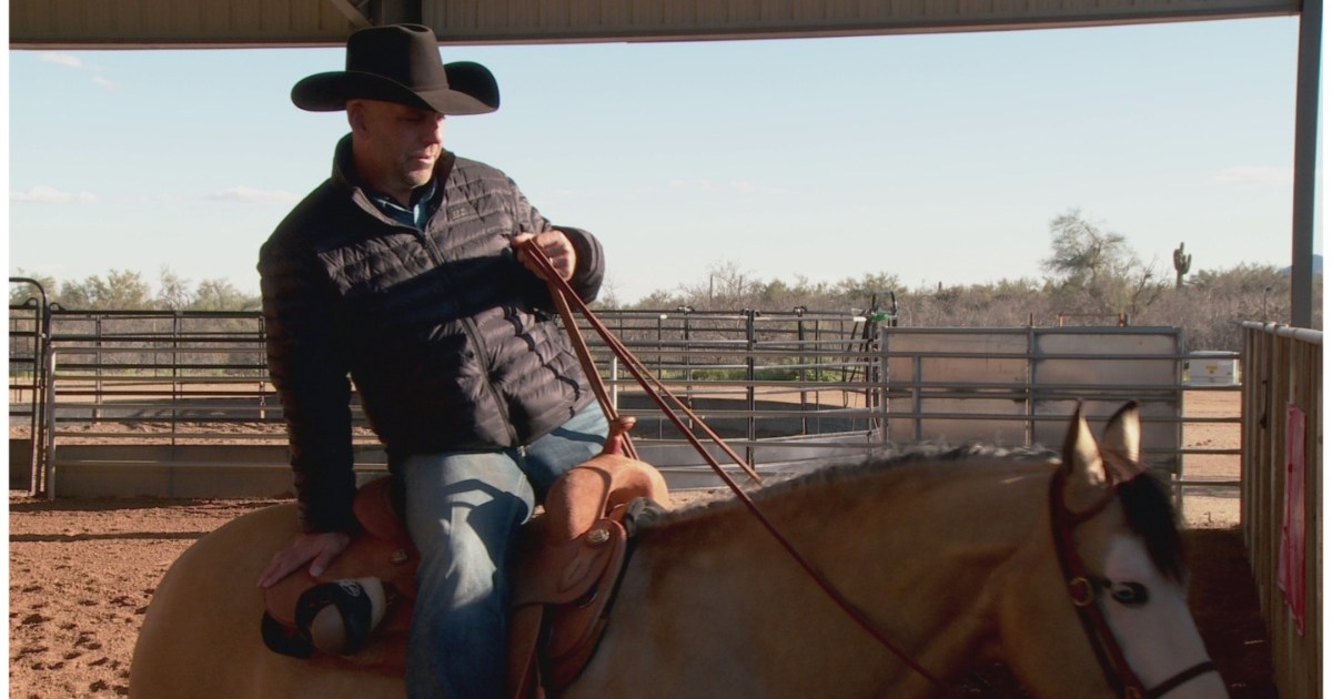 The Last Cowboy (2019) Season 1 Streaming: Watch & Stream Online via ...