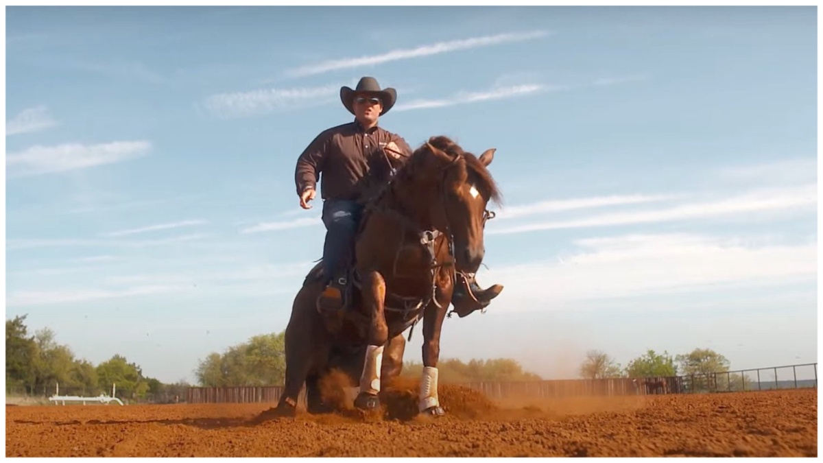The Last Cowboy (2019) Season 3 Streaming: Watch & Stream Online via ...