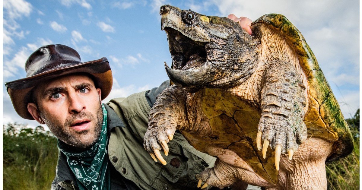 Brave Wilderness Season 8 Streaming: Watch & Stream Online via Peacock