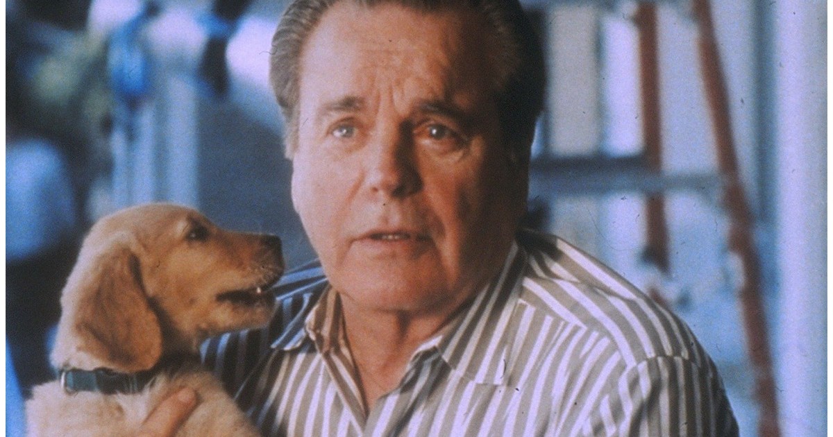 The Retrievers (2001) Streaming: Watch & Stream Online via Amazon Prime ...
