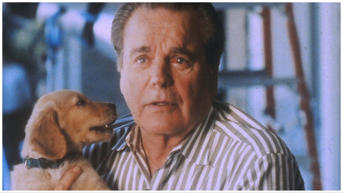 The Retrievers (2001) Streaming: Watch & Stream Online via Amazon Prime ...