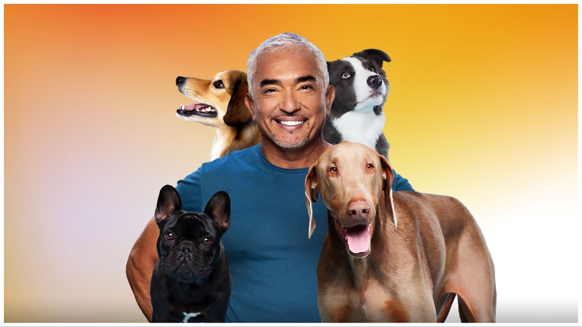 Cesar Millan: Better Human, Better Dog Season 3 Streaming: Watch ...