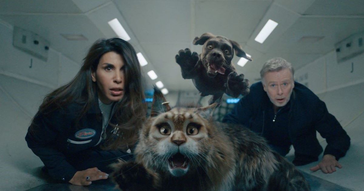 Cat and Dog Streaming: Watch & Stream Online via Netflix