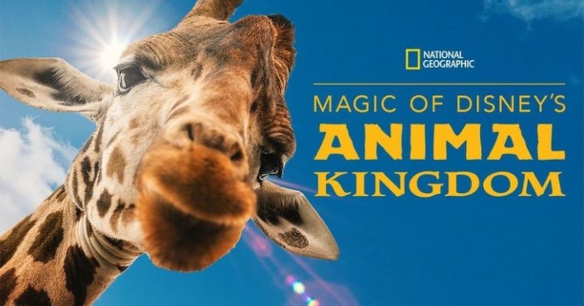 Magic of Disney's Animal Kingdom (2020) Season 1 Streaming: Watch ...