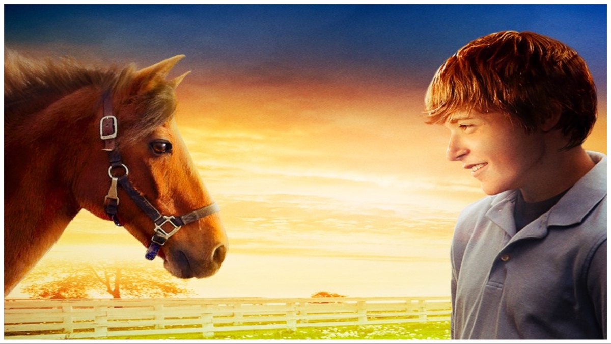 A Horse Called Bear Streaming: Watch & Streaming Online via Amazon ...