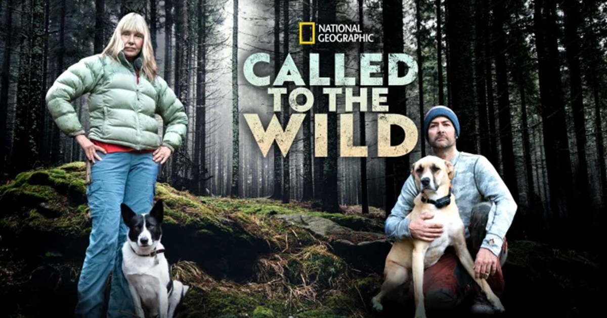 Called to the Wild Season 1 Streaming: Watch & Stream Online via Disney ...