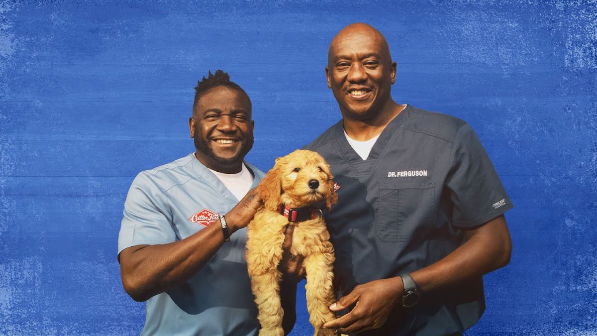 Critter Fixers: Country Vets Season 2 Streaming: Watch & Stream Online ...