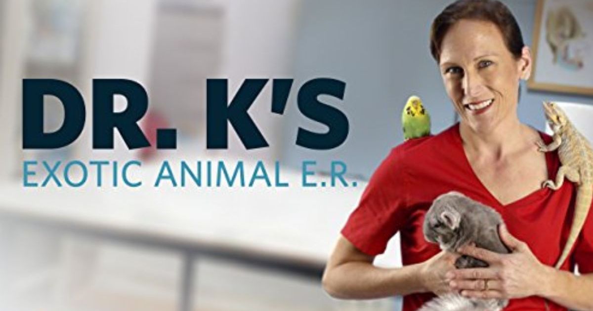 Dr. K's Exotic Animal ER Season 7 Streaming: Watch & Stream Online via ...
