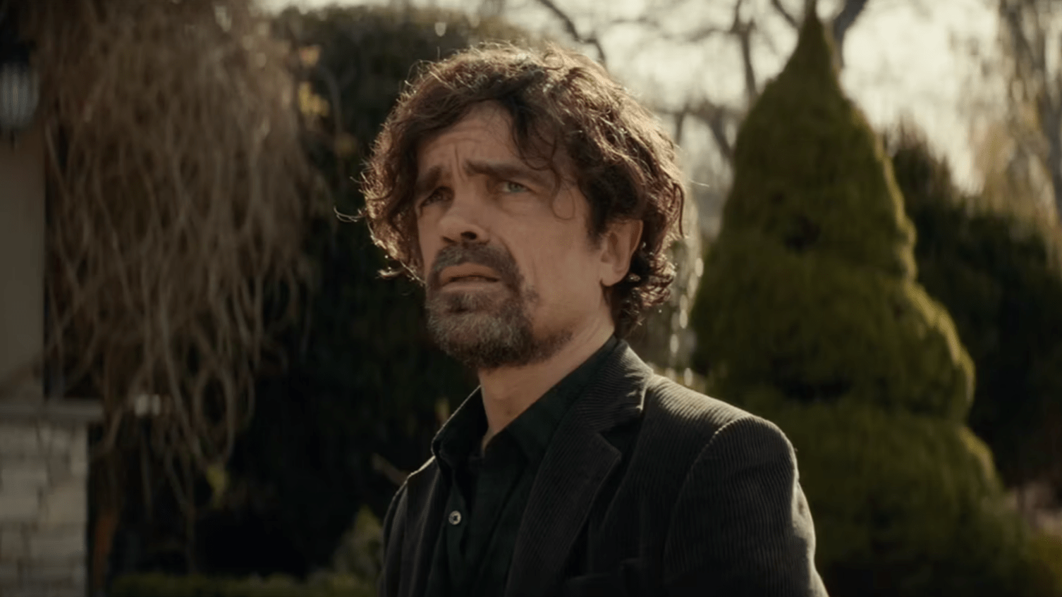 Brothers Trailer Previews Palm Springs Director’s New Movie With Peter ...
