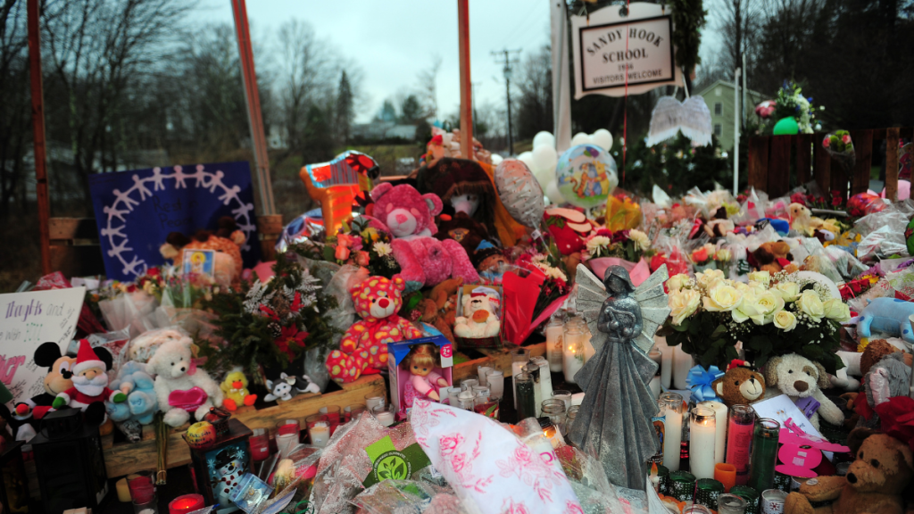 Sandy Hook School Shooting: What Happened to the Shooter?