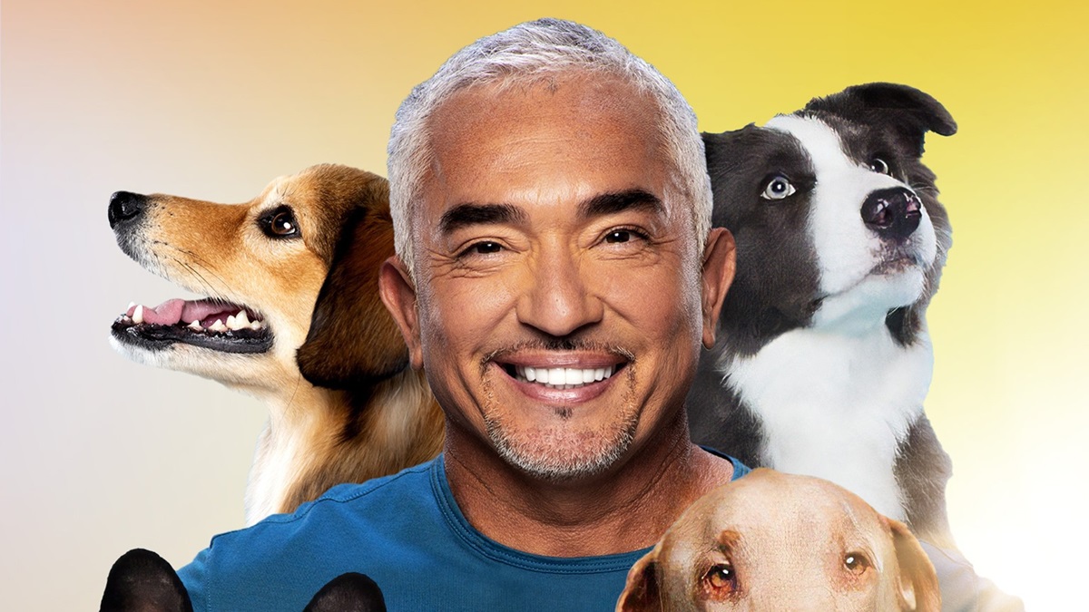 Cesar Millan: Better Human, Better Dog Season 4 Streaming: Watch ...
