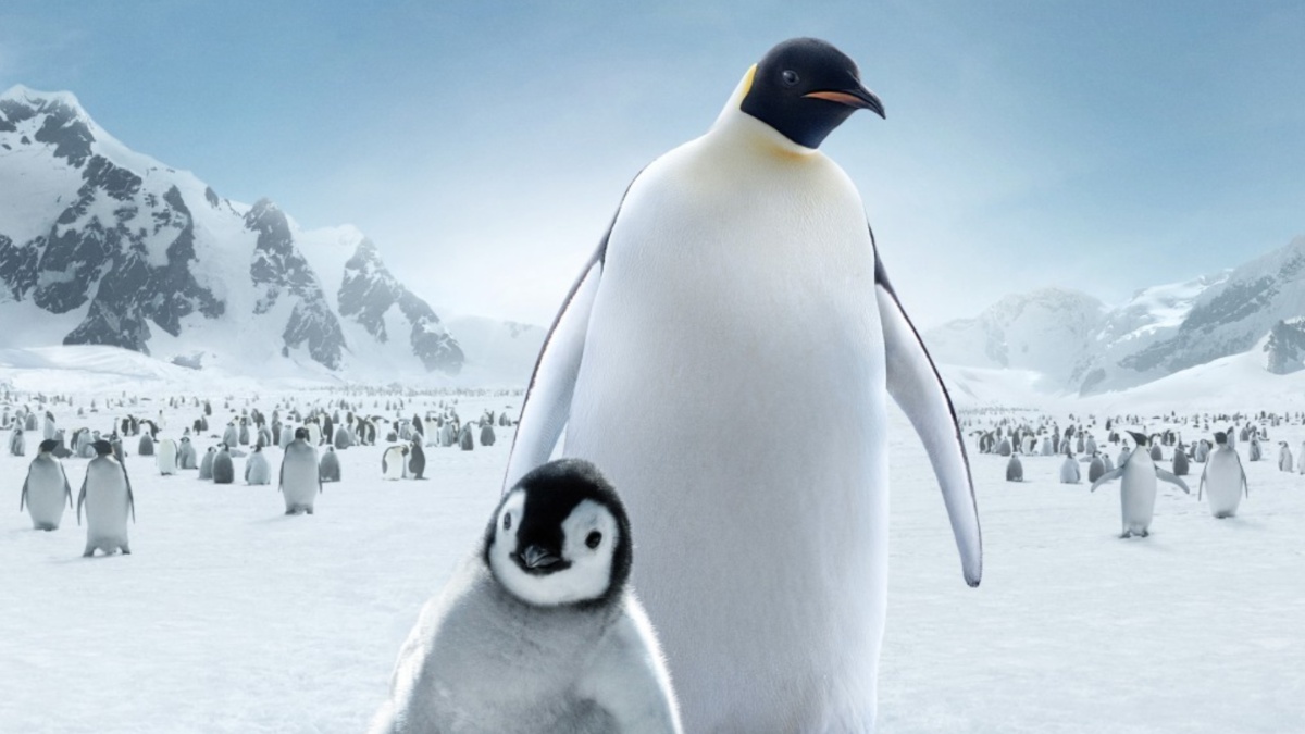 Best Nature Documentaries: March of the Penguins, David Attenborough: A ...