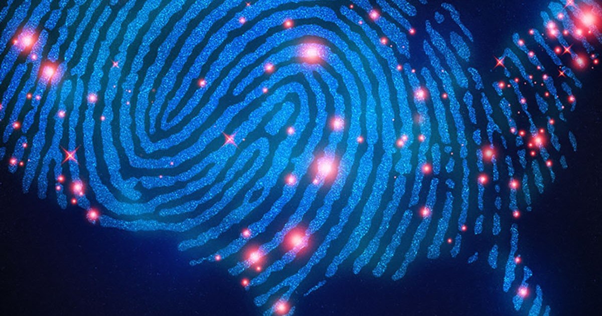 How to Watch Crime Nation Online Free