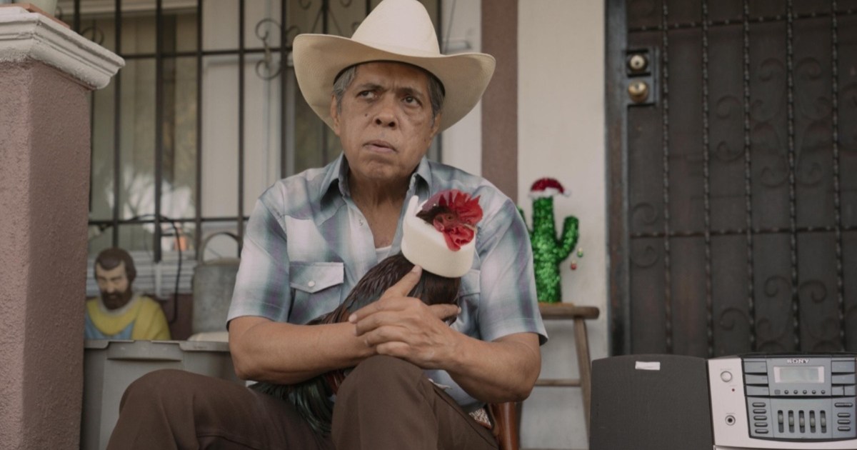 This Fool Season 2: How Many Episodes & When Do New Episodes Come Out?