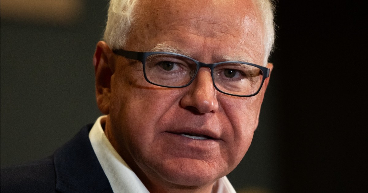 What Did Tim Walz Teach? Teaching History Explained