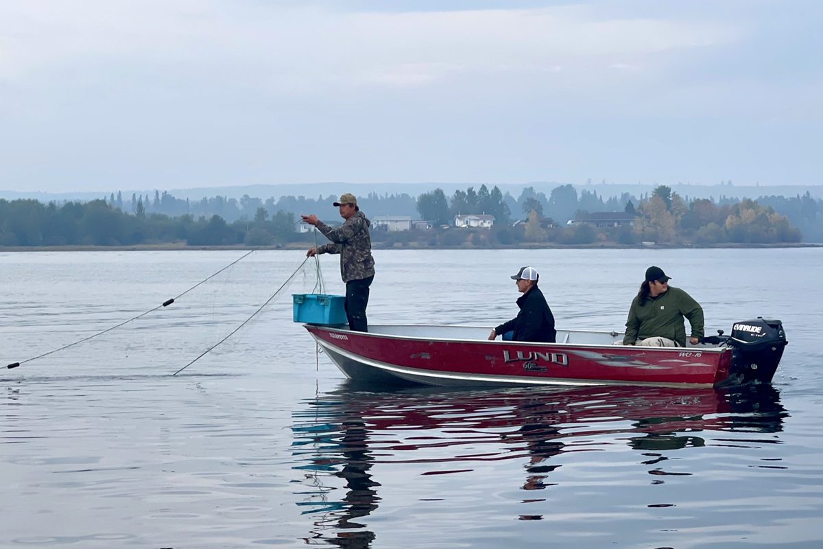 Exclusive The Salmon’s Call Trailer Explores Indigenous Relationship ...