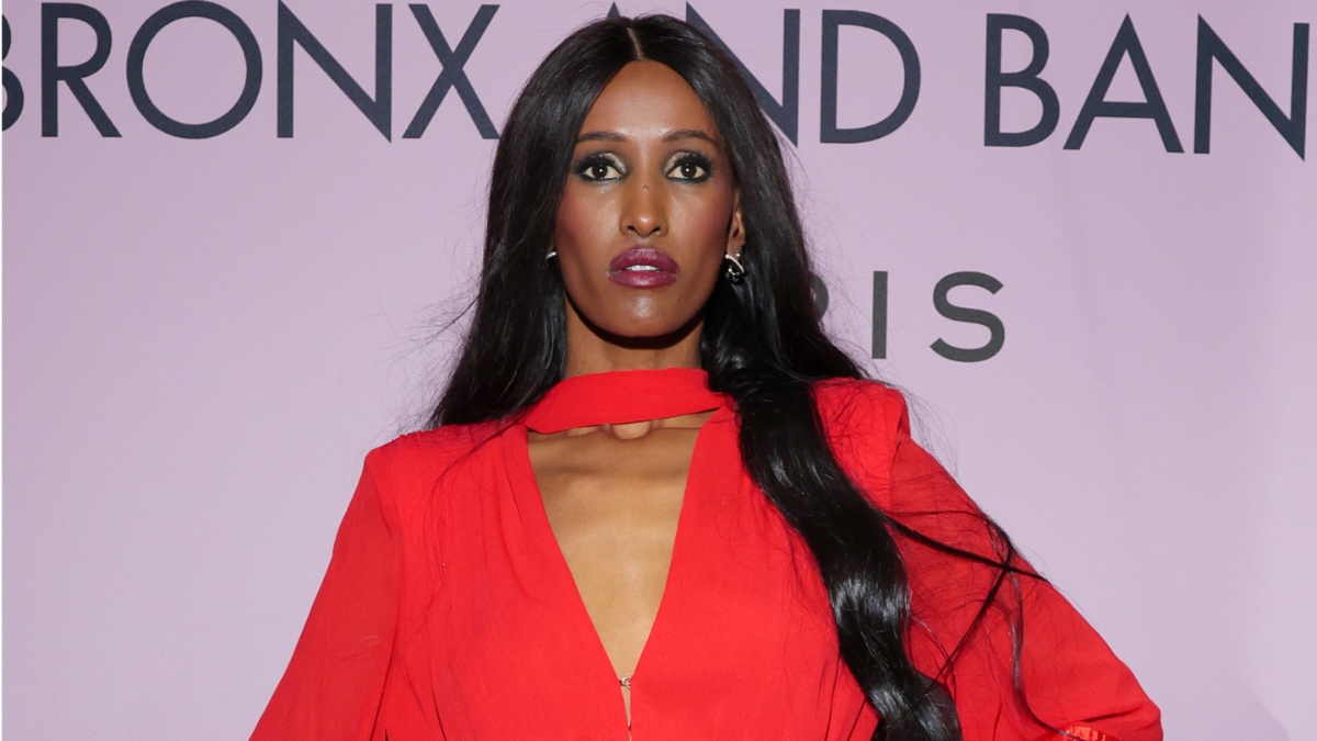 Who Is Chanel Ayan's Husband, Chris Pillott? Relationship, Age, Job ...