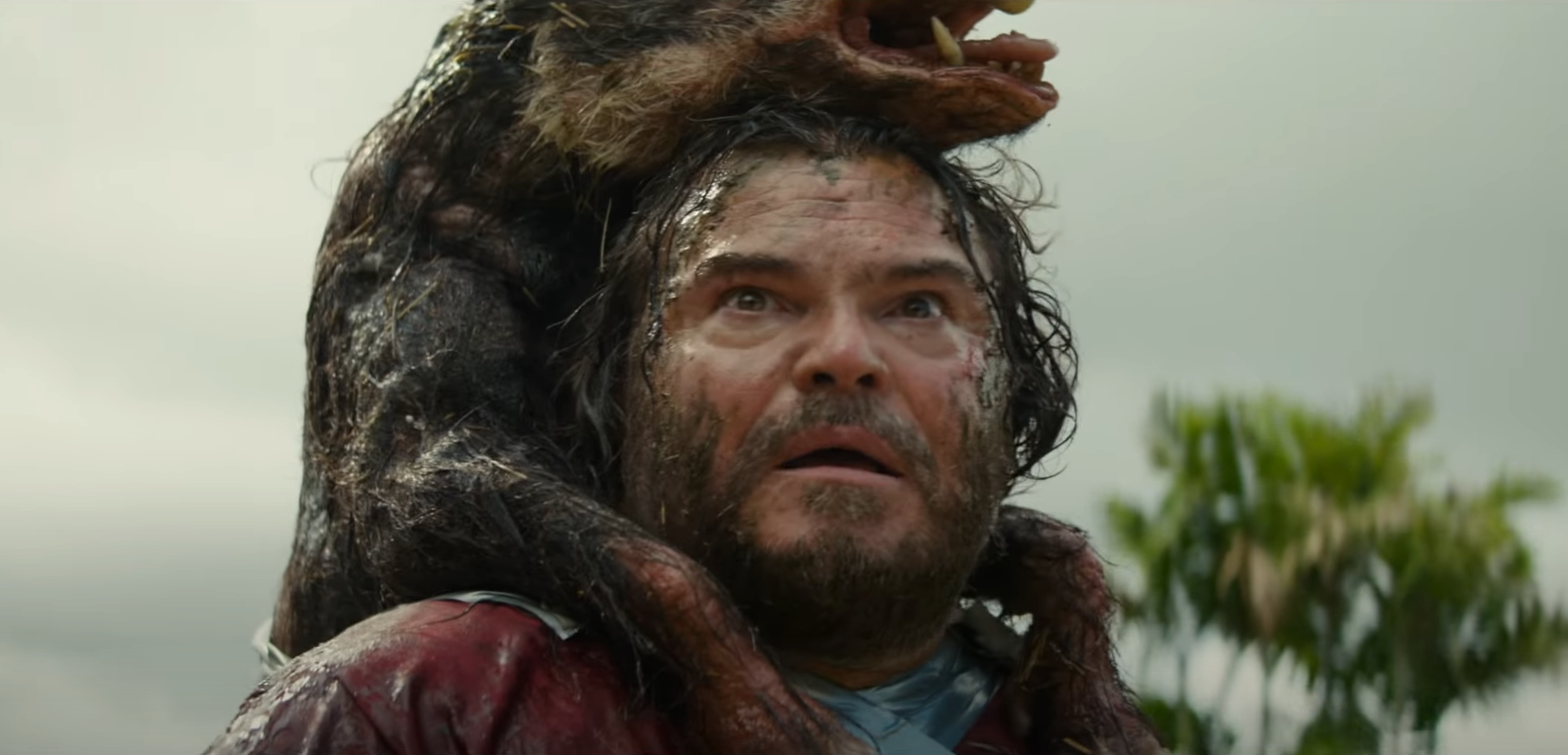Anaconda Trailer: Jack Black & Paul Rudd Star in Hilarious Reboot