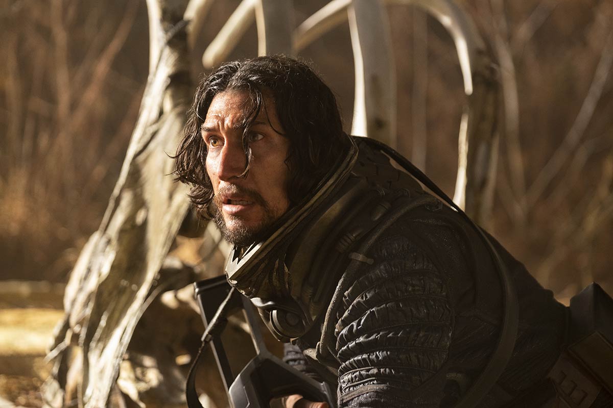 Adam Driver & Anne Hathaway To Star in War Movie Alone at Dawn